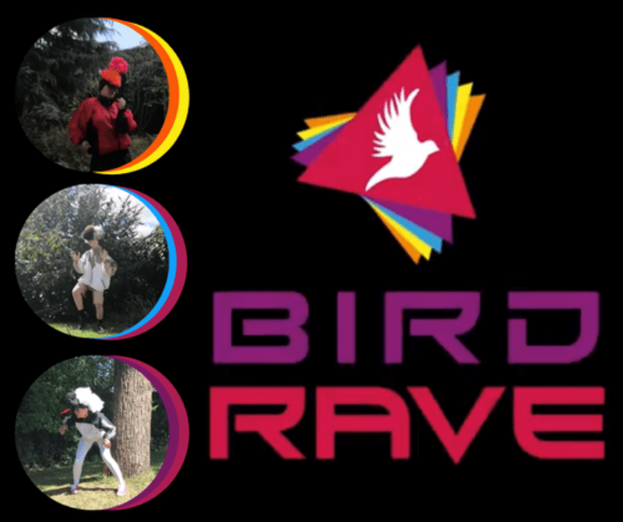 Bird Rave - Uncover Liverpool
