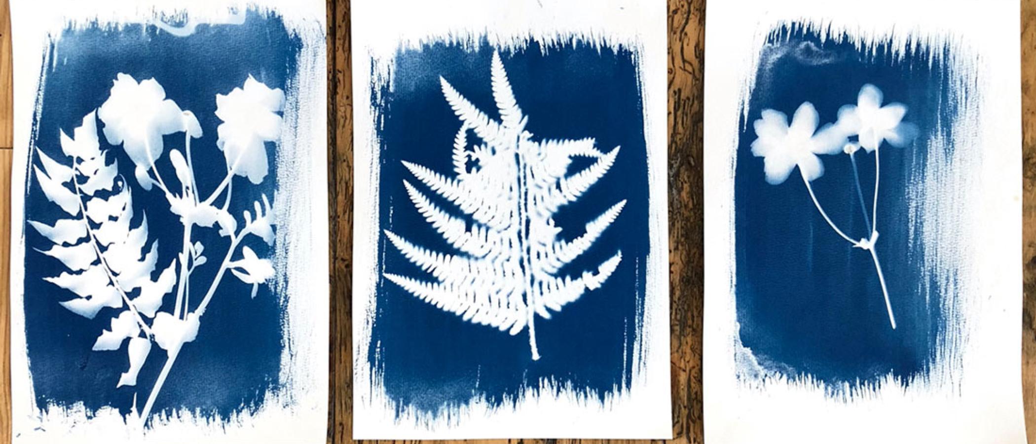 Meet and make: cyanotype printing - Uncover Liverpool